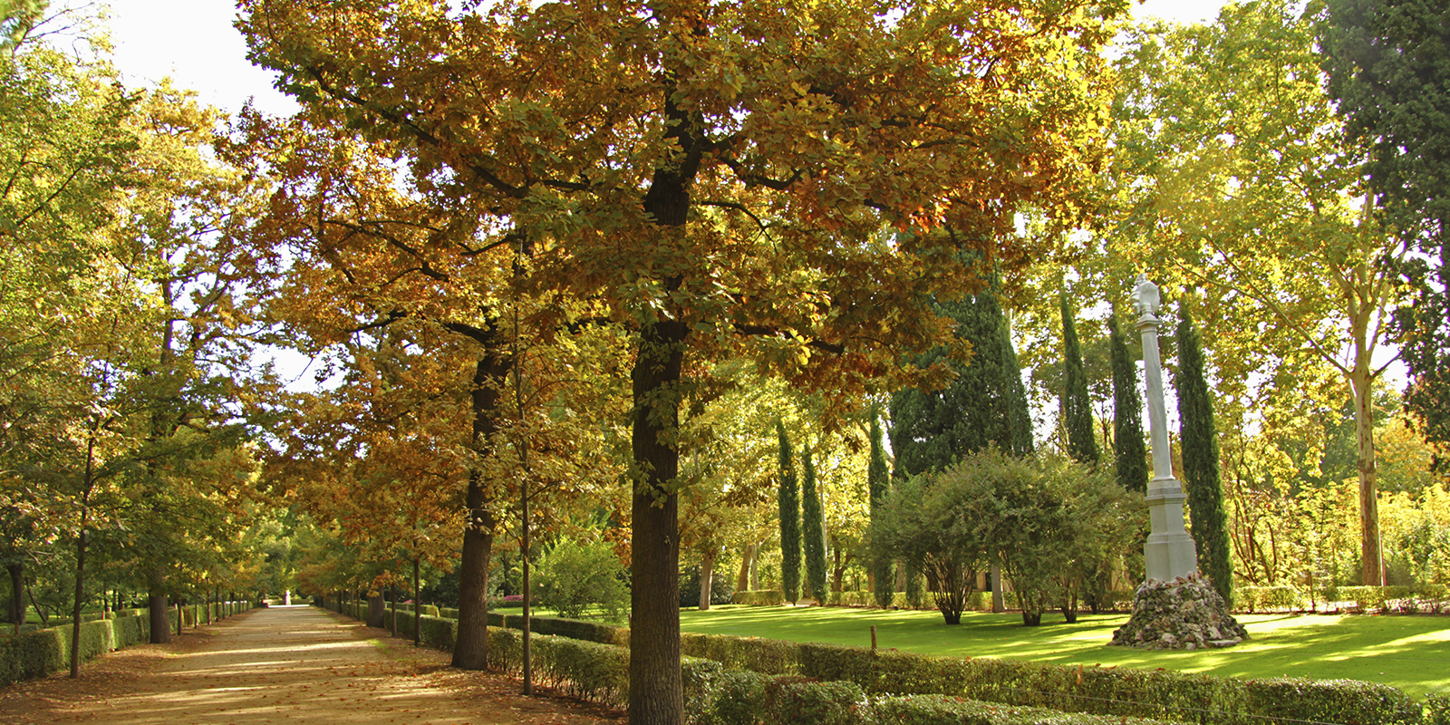ACCIONA mantendrá los parques históricos y forestales de Madrid