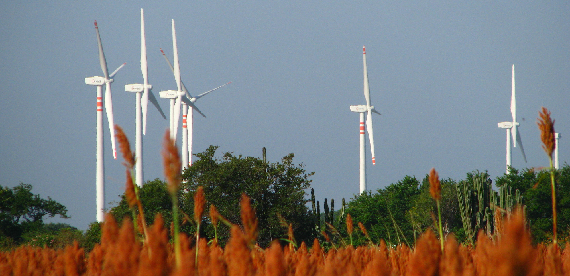 Eurus wind farm | ACCIONA | Business as unusual