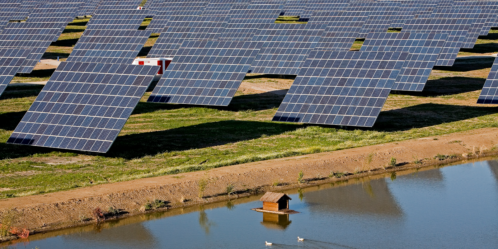 ACCIONA Energía’s solar project in Cebú, awarded ‘Green Lane’ status by ...