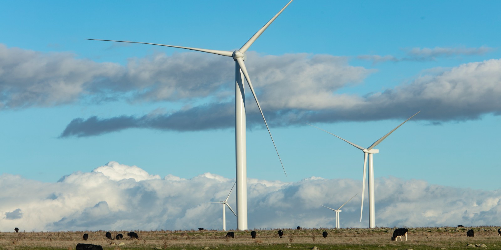 ACCIONA, ACCIONA Energía ranked in Top 5% of S&P Global’s ...