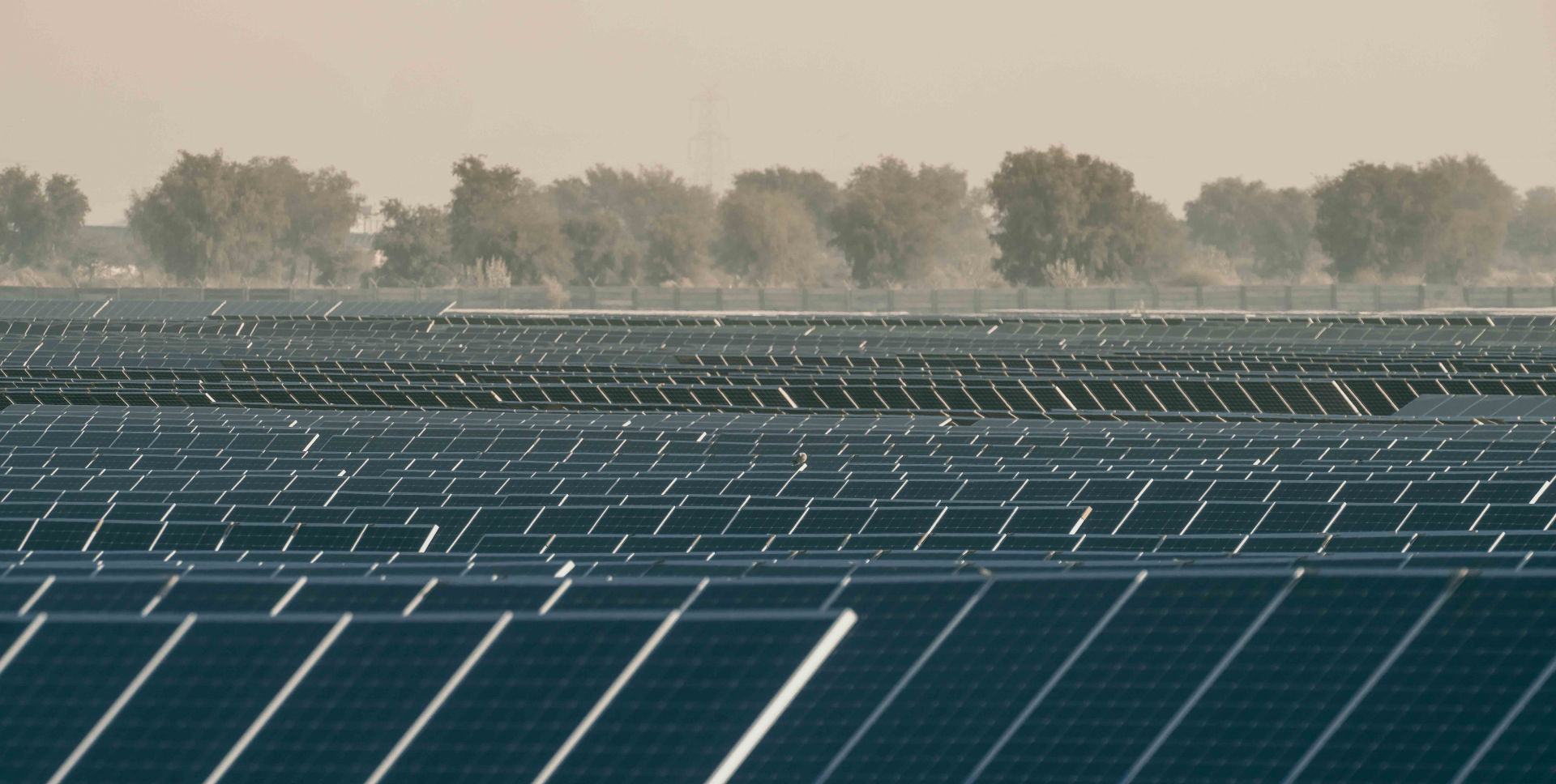 Planta Fotovoltaica Juna | ACCIONA | Business as unusual